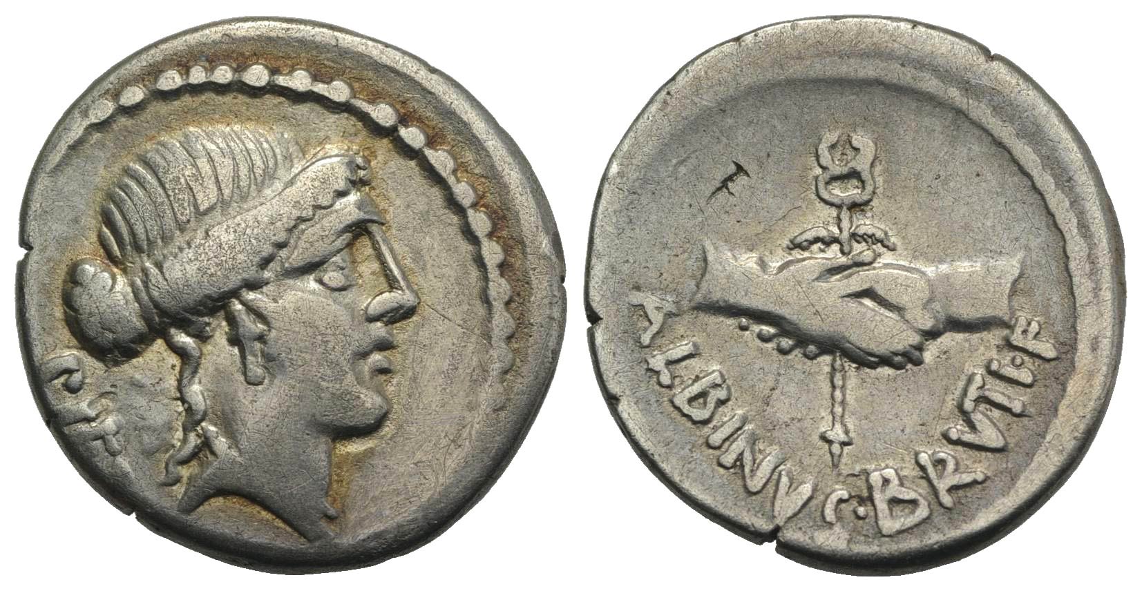 Roman Imperatorial, Albinus Bruti f., Rome, 48 ... - Bertolami Fine Art