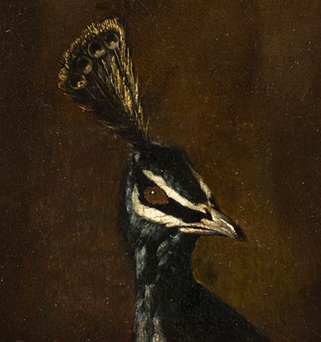 DAVID DE CONINCK(Anversa, 1642/44 – Bruxelles, ... - Bertolami Fine Art